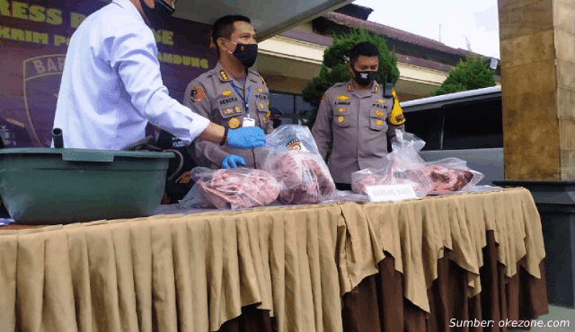 PEREDARAN DAGING SAPI PALSU – Himpunan Studi Ternak Produktif Fakultas ...